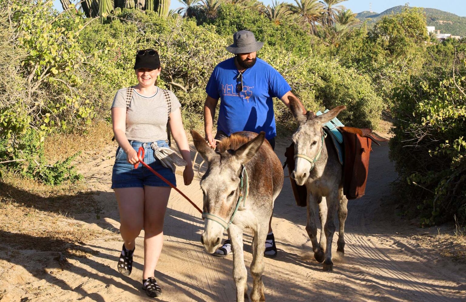 Offers - Rancho Carisuva